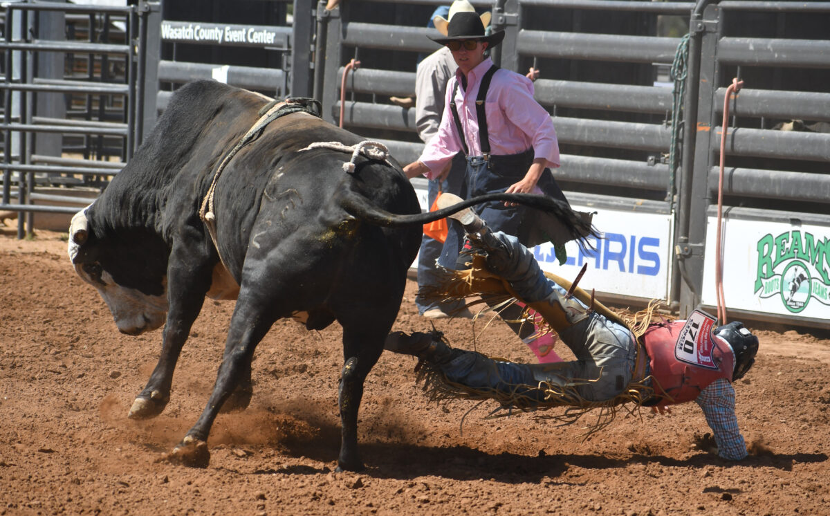 Westlake bull rider Christopher Staley makes successful ride in return ...